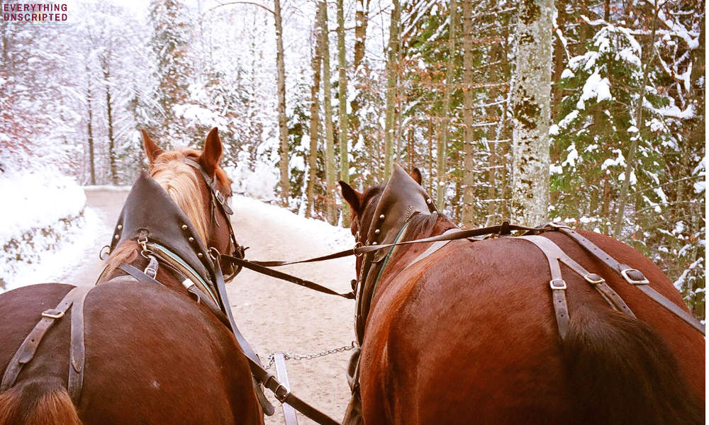 Family Fun in New Brunswick - Winter Sleigh Rides with Ruth Ann Swansburg