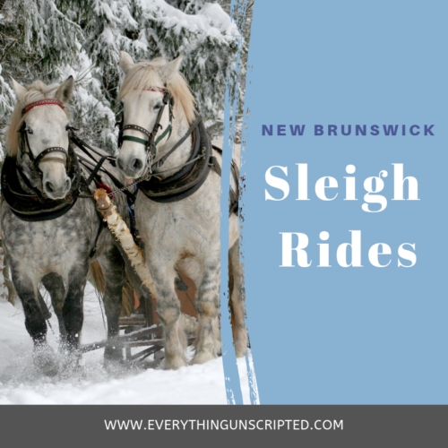 Family Fun in New Brunswick - Winter Sleigh Rides with Ruth Ann Swansburg