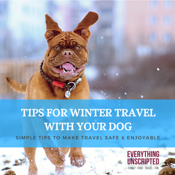 Tips For Winter Travel With Your Dog