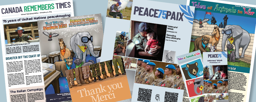 Remembrance Day In Canada