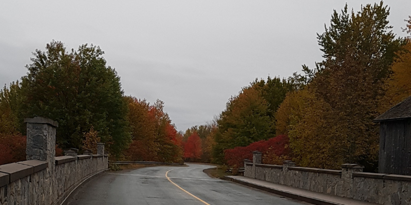Family-Friendly Fall Colour Hikes in New Brunswick